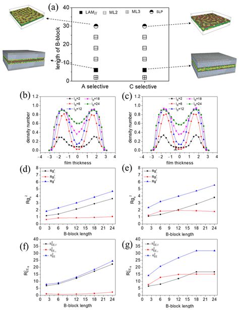 dissipative particle dynamics simulation for the self assembly of