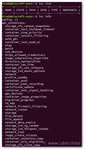Install LXD Pure Container Hypervisor On Ubuntu LTS NixCraft