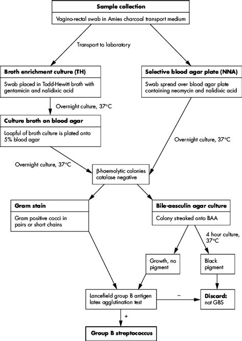 Algorithm For Laboratory Handling Of Vagino Rectal Swabs For The