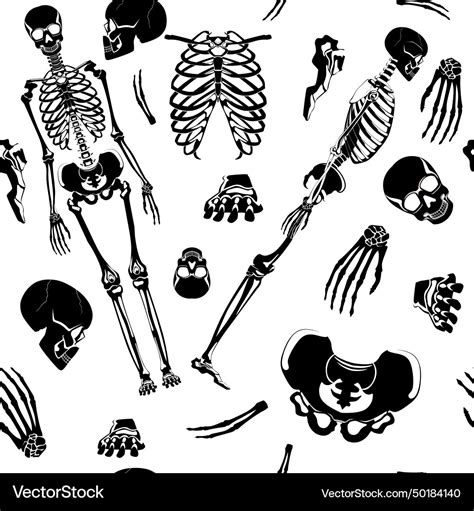 Skeleton Pattern Skull And Bones Set In Seamless Vector Image