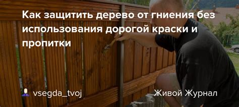 Как защитить дерево от гниения без использования дорогой краски и пропитки Vsegda Tvoj