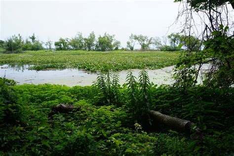 Extension Needed For Better Water Management Farmtario