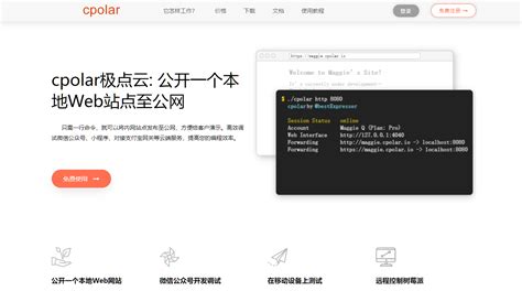 公网使用PLSQL远程连接Oracle数据库内网穿透 cpolar 极点云官网