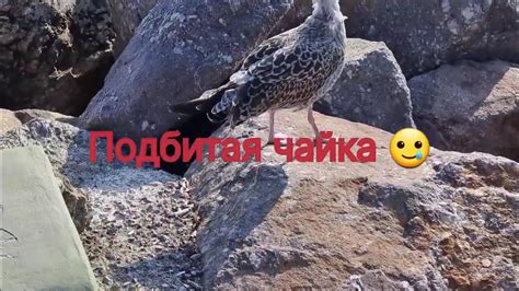 Набережная района Малтепе 🇹🇷 Youtube