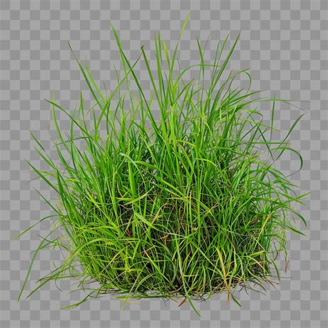 Page 2 Very Basic Grass Texture Psd High Quality Free Psd Templates For Download