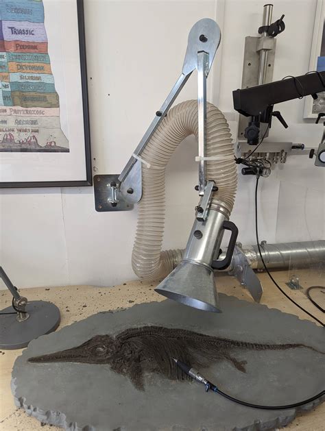 Dust Extraction In Fossil Preparation Zoic Palaeotech Limited