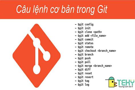 Github là gì Các thuật ngữ cơ bản của Github mà bạn không thể bỏ qua Blog Hồng