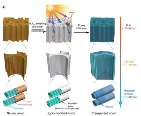 Transparent Building Materials