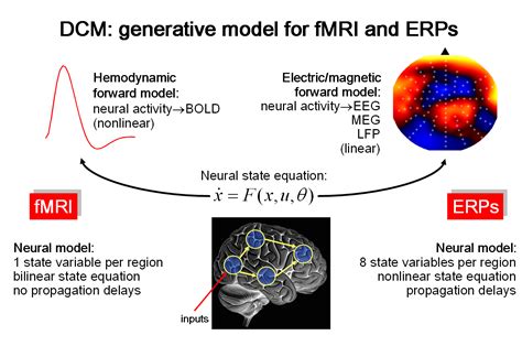 Dynamic Causal Modeling For Fmri Spm Documentation