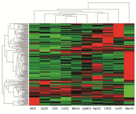7 Hierarchical Clustering Analysis Applied To The Filtered Gene