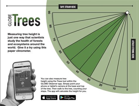 Calling All Students And Citizen Scientists To Help Measure Tree Height