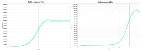 Two Example Amplification Plots Showing The Inflection Associated Download Scientific Diagram
