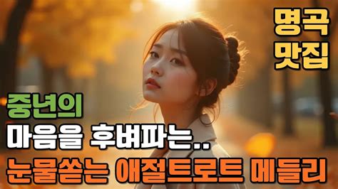 중년의 마음을 후벼파는 애절트로트 메들리 트로트메들리 트로트모음 트로트연속듣기 애절트로트 눈물의트로트 트로트명곡 트로트추천 트로트신곡 인생트로트 중년애창곡