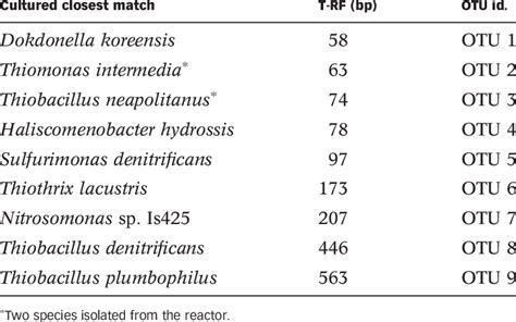 Terminal Restriction Fragments Of The Most Significant Clones Found Download Table