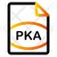 Pka File Icon Of Line Style Available In SVG PNG EPS AI Icon Fonts