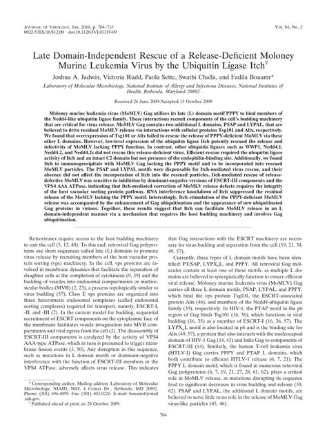 Pdf Late Domain Independent Rescue Of A Release Deficient Moloney Murine Leukemia Virus By The