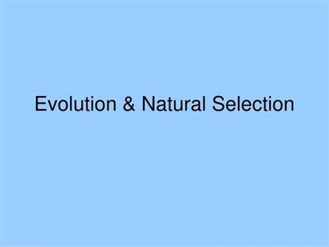 Ppt Evolution And Natural Selection Powerpoint Presentation Free