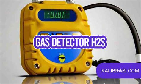 Penjelasan Gas Detector H2s Fungsi Dan Jenisnya
