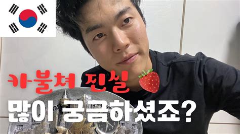 호주 워홀 농장 카불쳐 궁금하셨죠 알려줌 Youtube