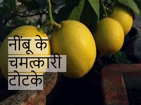 Nimbu Ke Totke नींबू के इस टोटके में छिपा है सफलता का राज करते ही कामयाबी के शिखर पर पहुंचना