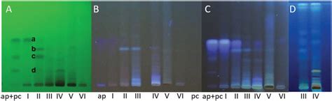 Hptlc Fingerprints Of The Phenolic Fractions I Vi Of The Paulownia
