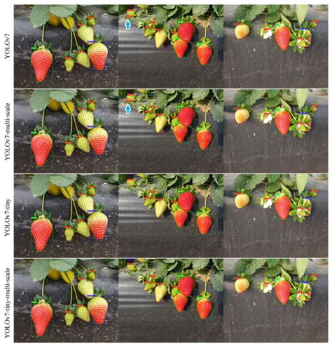 Real Time Detection Of Strawberry Ripeness Using Augmented Reality And Deep Learning Pmc