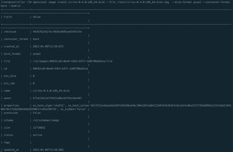 OpenStack上传镜像及配置网络 shine rainbow 博客园