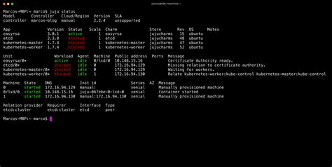 kubernetes on ubuntu vms ubuntu