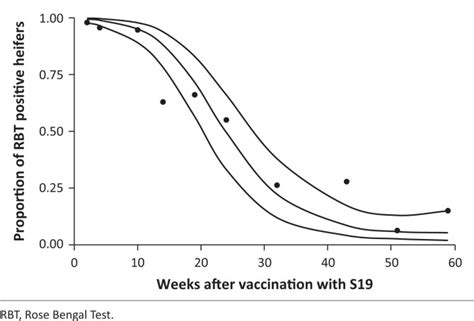 Immunological Response To Brucella Abortus Strain 19 Vaccination Of Cattle In A Communal Area In