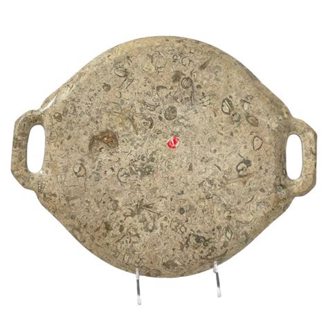 Vintage Fossilized Spiral Shell Stone Serving Cheese Dish Chairish