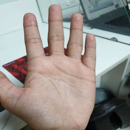 Palm Recognition Object Detection Dataset By Palmm