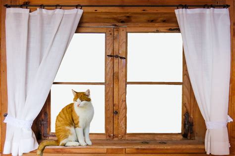 Different Types Of Windows For Your Home