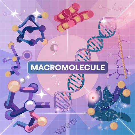 Macromolecules Definition Types Examples And Impact Factor