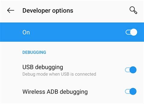 computer debugging mode