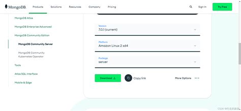 mongodb服务器部署与用户权限设置教程 csdn博客