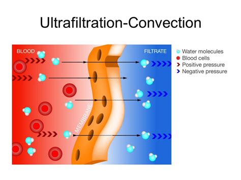 University Of Pittsburgh Ppt Video Online Download