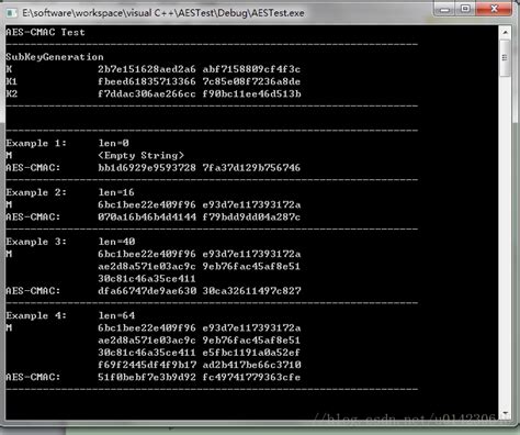 C实践（四）：c实现aes Cmac算法 Csdn博客
