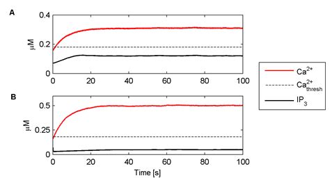 Bidirectional Coupling Between Astrocytes And Neurons Mediates Learning And Dynamic Coordination