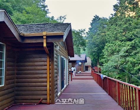 장흥군 유치자연휴양림 새단장 눈길