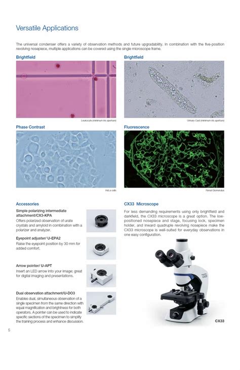 Olympus Cx43 Microscope For Laboratory Led At ₹ 297344 Laboratory Microscope In New Delhi