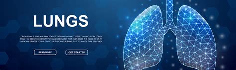 폐 다각형 수평 배너 생식 시스템 머리 승진 기치에 대 한 낮은 폴리 기호 장기 해부학 디자인 템플릿 일러스트 개념 3차원