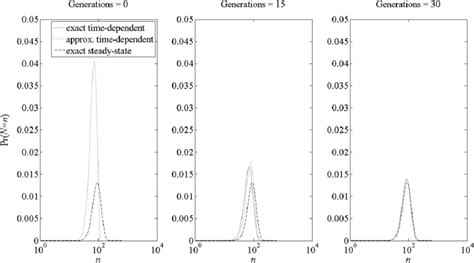Time Dependent Solutions Of The Spatially Implicit Neutral Model With J