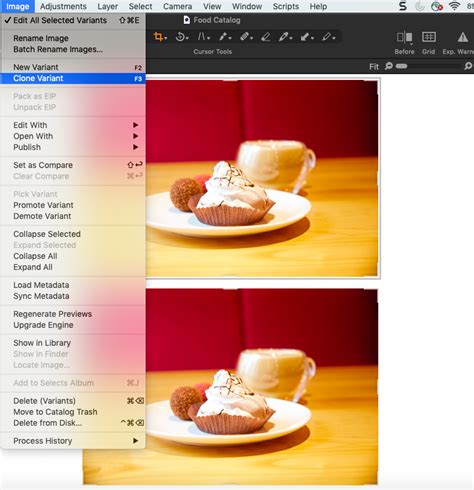 Creating A Copy Of The Selected Image Clone Variant Home