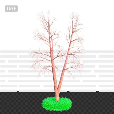 Premium PSD D Rendering Architectural Tree
