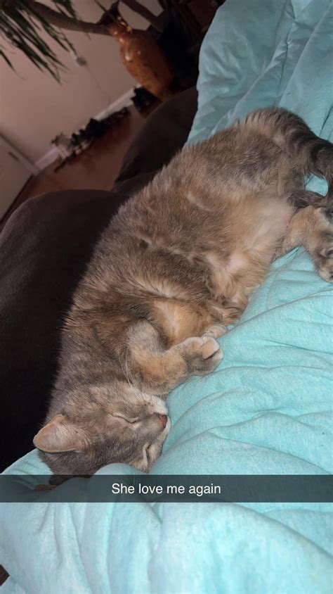 Kitty R Kitty