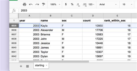 Setting Up The Spreadsheet For Friendly Usability — Padjo 2017 01