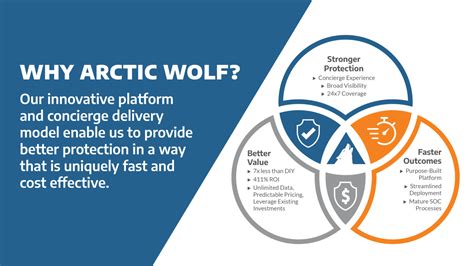 Arctic Wolf Constor Solutions