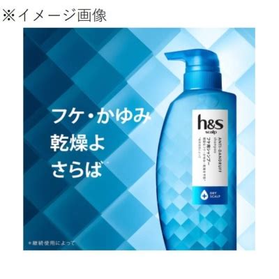 P&G h&s scalp ドライスカルプ シャンプーポンプ (本体) [フケ かゆみ 乾燥 ノンシリコン 頭皮 ケア 男性] 350ml トリートメント・コンディショナー 通販 - ヤマキ ...