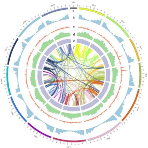 Schematic Diagram Summarizing The Production Of Aromatic Compounds In Download Scientific
