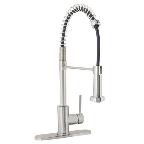 Massimo 1 Handle Pull Out Kitchen Faucet Brushed Nickel Canac